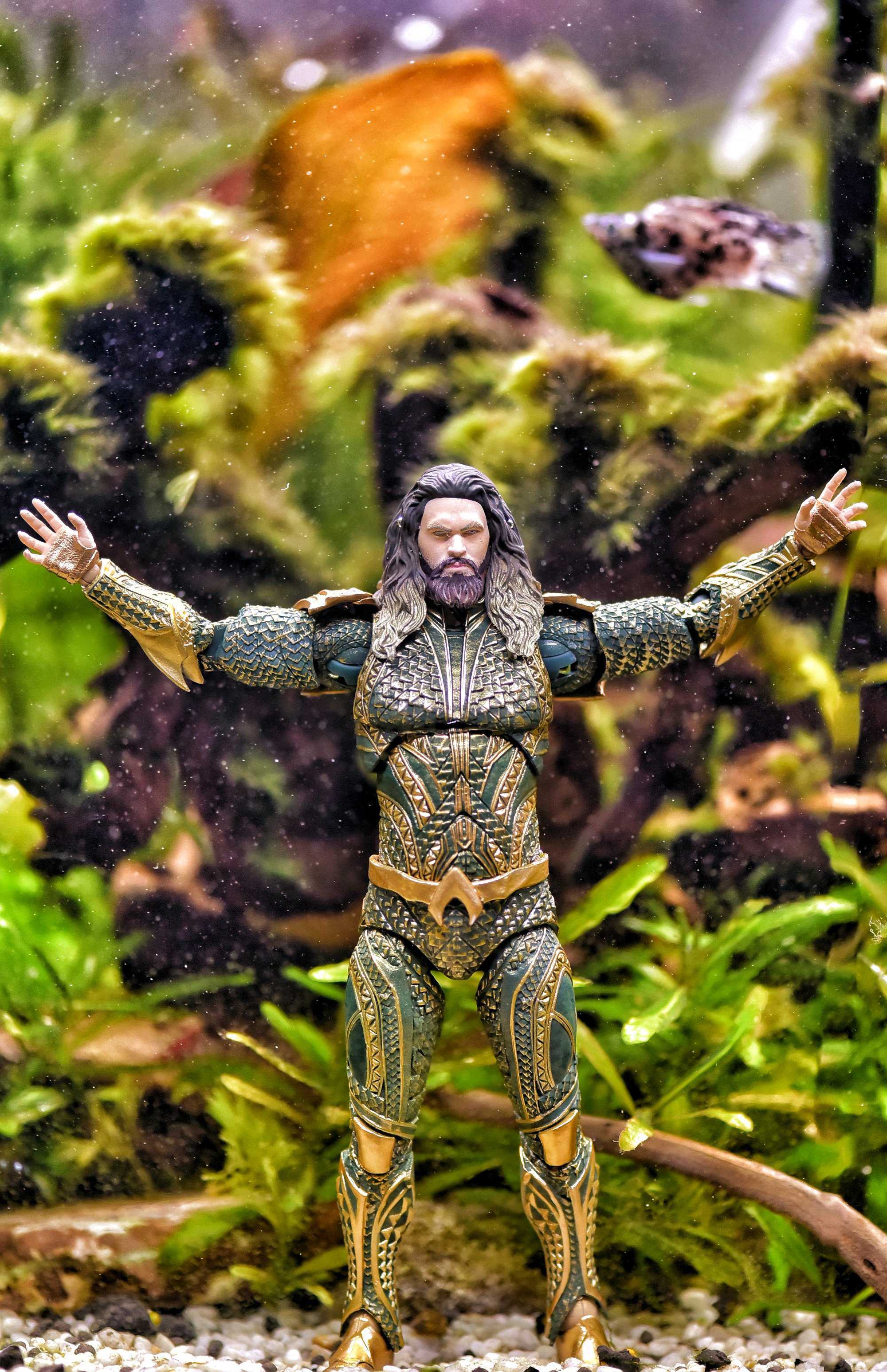 Aquaman In Fish Tank | Figround