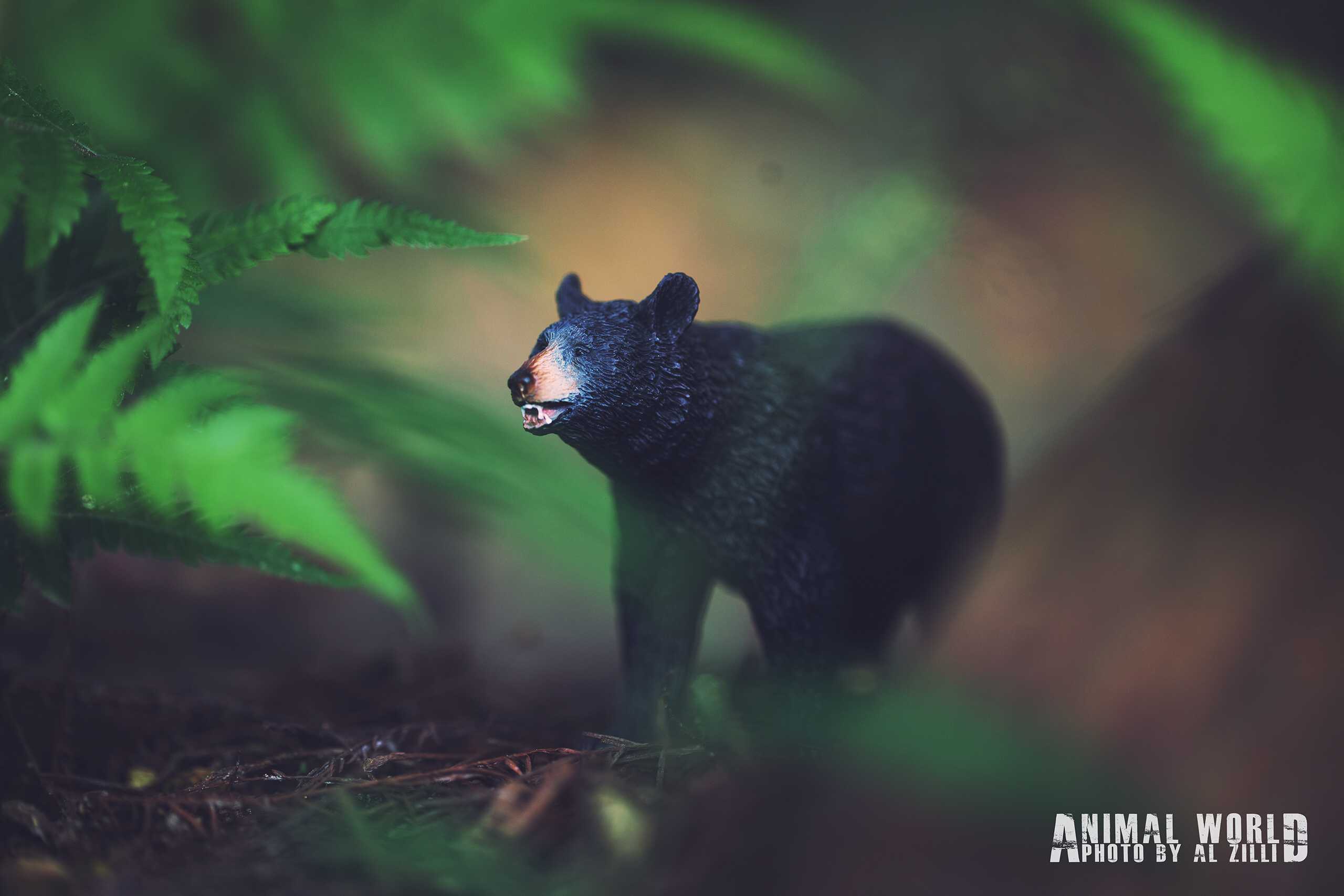 Animal World II | Figround